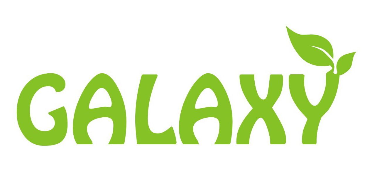 GALAXY ELECTRONICS (Shenzhen) Co., Ltd – Galaxy Electronics